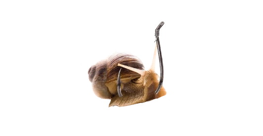 Snail Bait | New World Wiki | Fandom