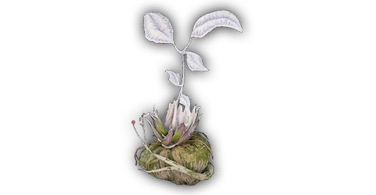 Lifebloom Flower | New World Wiki | Fandom