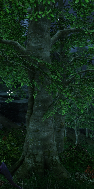 Mature Tree | New World Wiki | Fandom