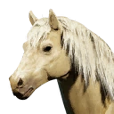Mounts | New World Wiki | Fandom