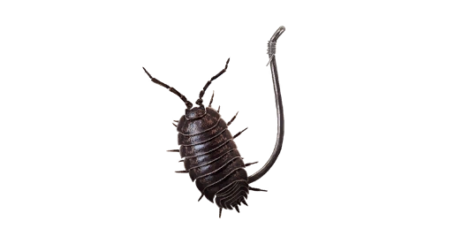 Bait | New World Wiki | Fandom