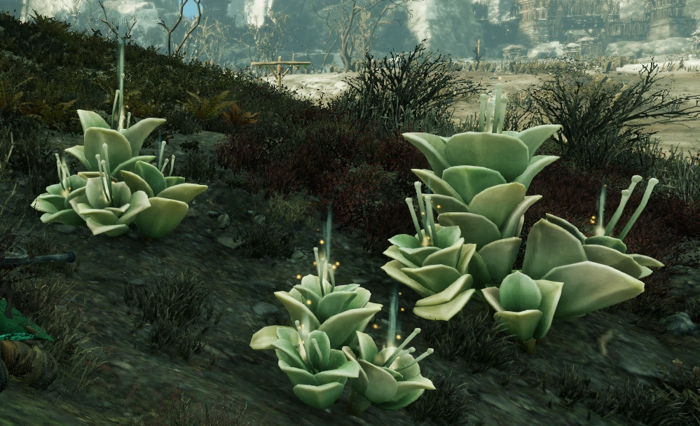 Cascaded Gillflower | New World Wiki | Fandom