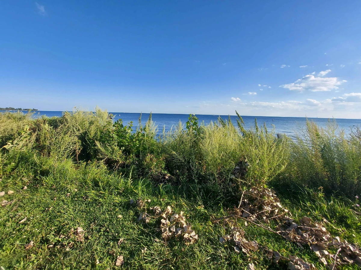 Rockfall National Park | New York Federation Wiki | Fandom