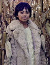 Kelly | New zealand movie boy Wiki | Fandom