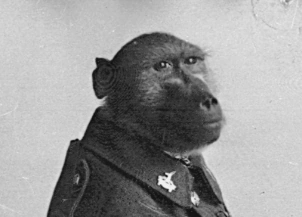 Aram Roston | Bluecoco90 Wiki | Fandom