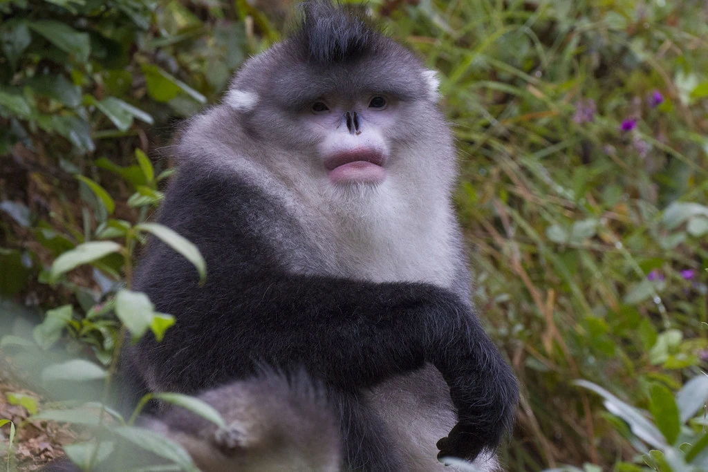 Theodore The Fool | Bluecoco90 Wiki | Fandom