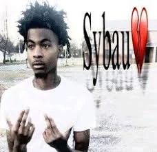 SYBAU | Bluecoco90 Wiki | Fandom