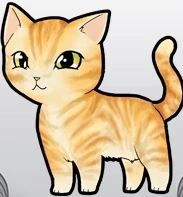 Ginger Tabby | Bread_Kittens Wiki | Fandom