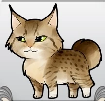 Pixie-bob | Bread_Kittens Wiki | Fandom