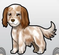 English Setter | Bread_Kittens Wiki | Fandom