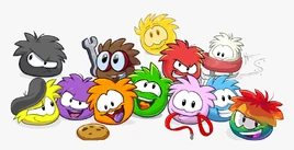 Puffle | Club Penguin Wiki | Fandom