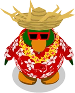 Rookie | New Club Penguin Wiki | Fandom