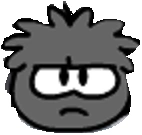 Black Puffle | Club Penguin Wiki | Fandom