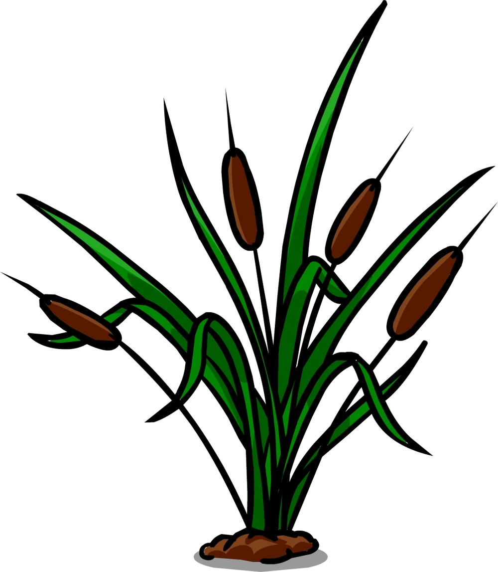 Bulrushes | New Club Penguin Wiki | Fandom