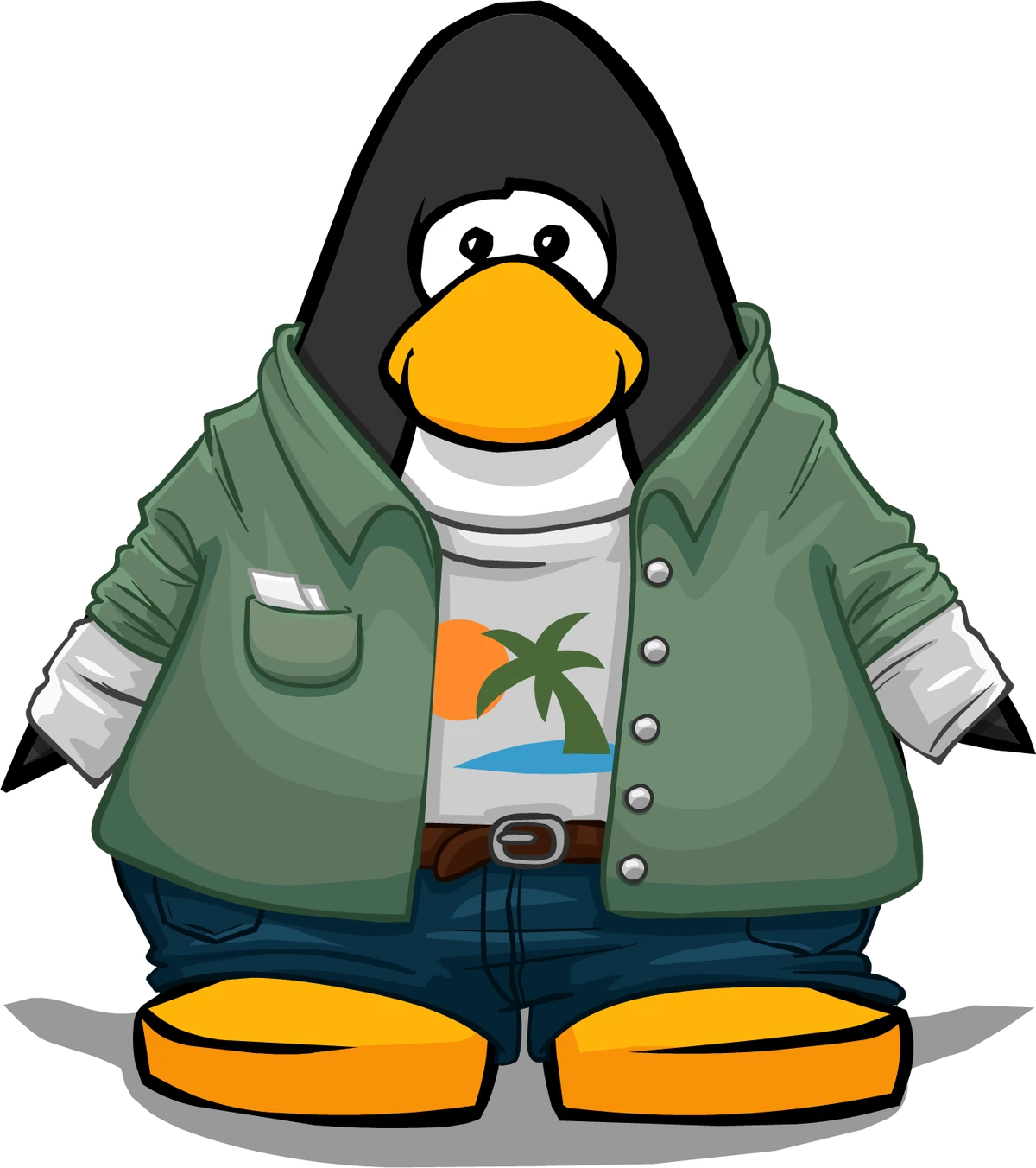 Green Summer Outfit | New Club Penguin Wiki | Fandom