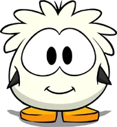 White Puffle Costume | New Club Penguin Wiki | Fandom