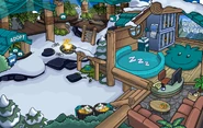 Wildlife Center | New Club Penguin Wiki | Fandom