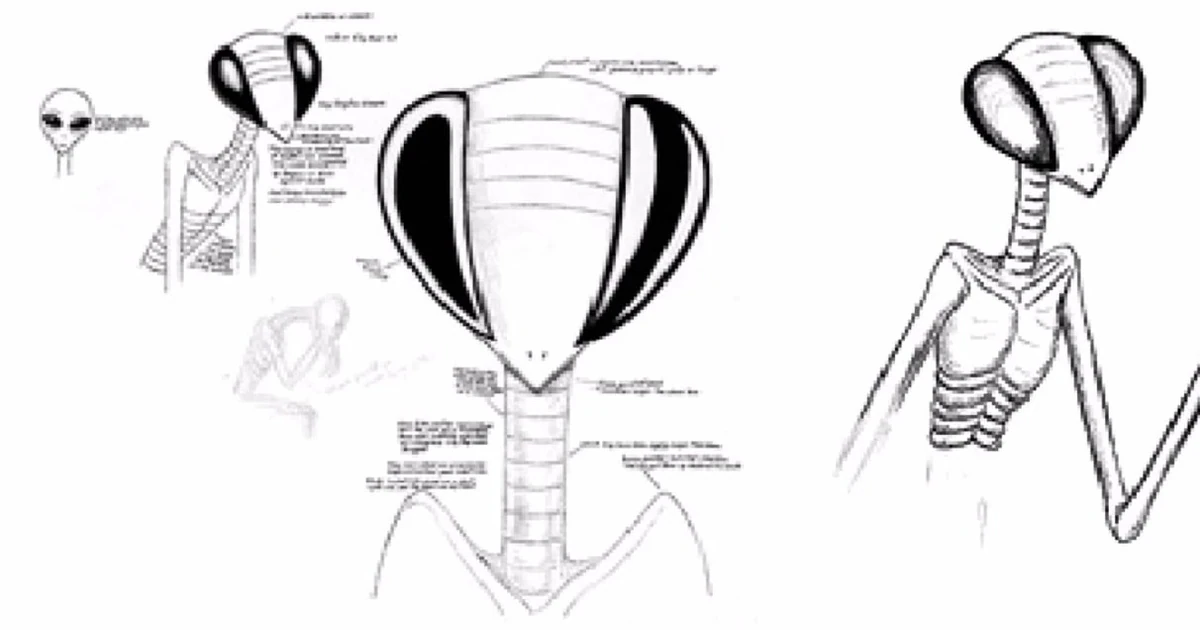 Mantis | New-Disclosure-Encyclopedia Wiki | Fandom