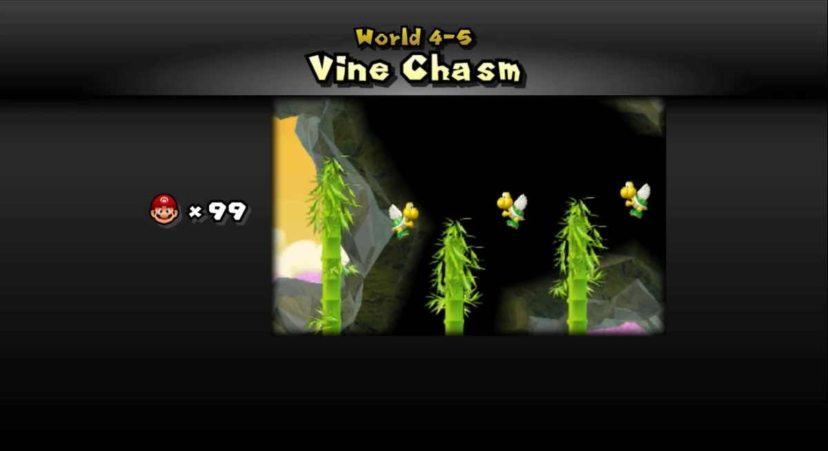 Vine Chasm | Newer Super Mario Bros. Wiki | Fandom
