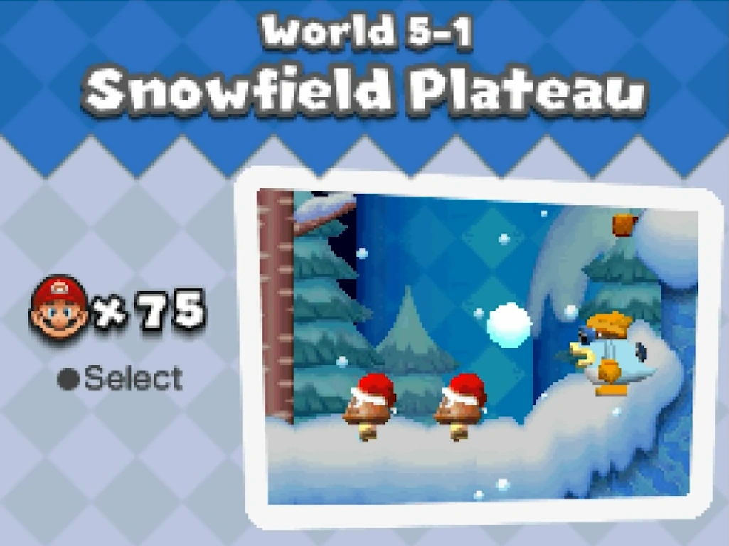 Snowfield Plateau | Newer Super Mario Bros. Wiki | Fandom