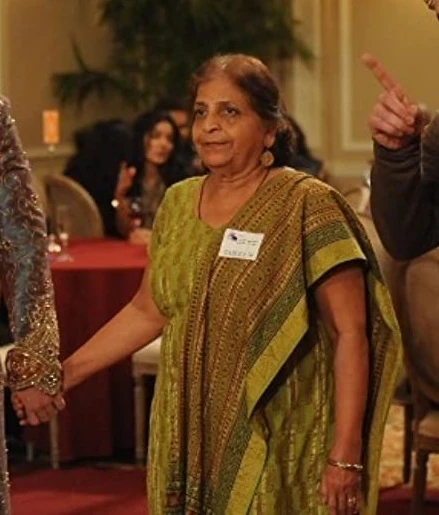 Swati Panat | New Girl Wiki | Fandom