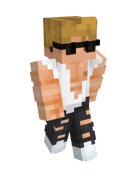 Solidarity | NewLife Smp Wiki | Fandom