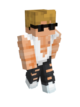 Solidarity | NewLife Smp Wiki | Fandom