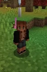 Origins | NewLife Smp Wiki | Fandom
