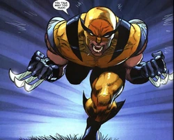 Wolverine (New Exiles) | New Marvel Wiki | Fandom