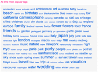 Tag Cloud | What's new, new media? | Fandom