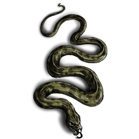 Giant Snakes | OPDND Wiki | Fandom