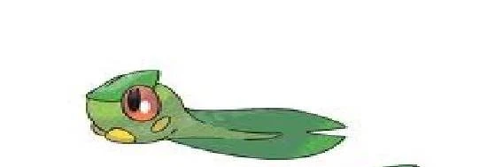 Taddy | New pokemon Wiki | Fandom