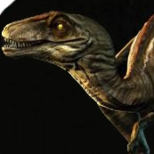 Novaraptor | Primal Carnage Wiki | Fandom