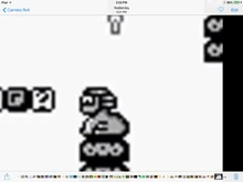 Lion | New super mario bros wii Wiki | Fandom