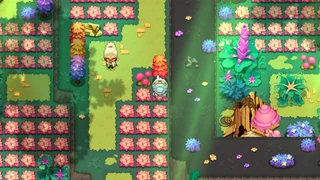 Precursor Valley Forest North | Nexomon Wiki | Fandom