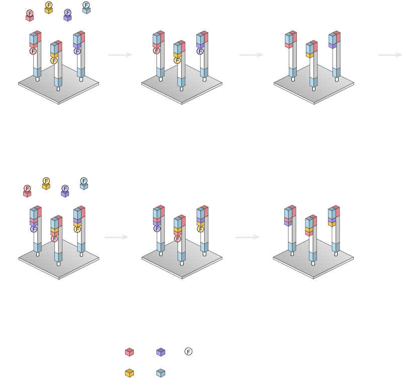Illumina Sequencing By Synthesis Sbs Next Generation Sequencing