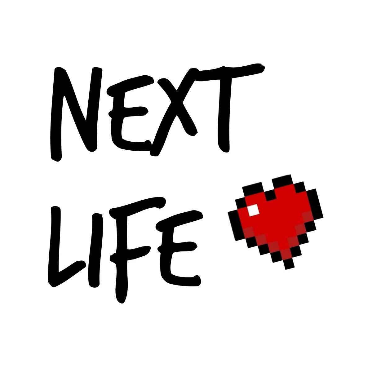 Series Winners | Next Life SMP Wiki | Fandom