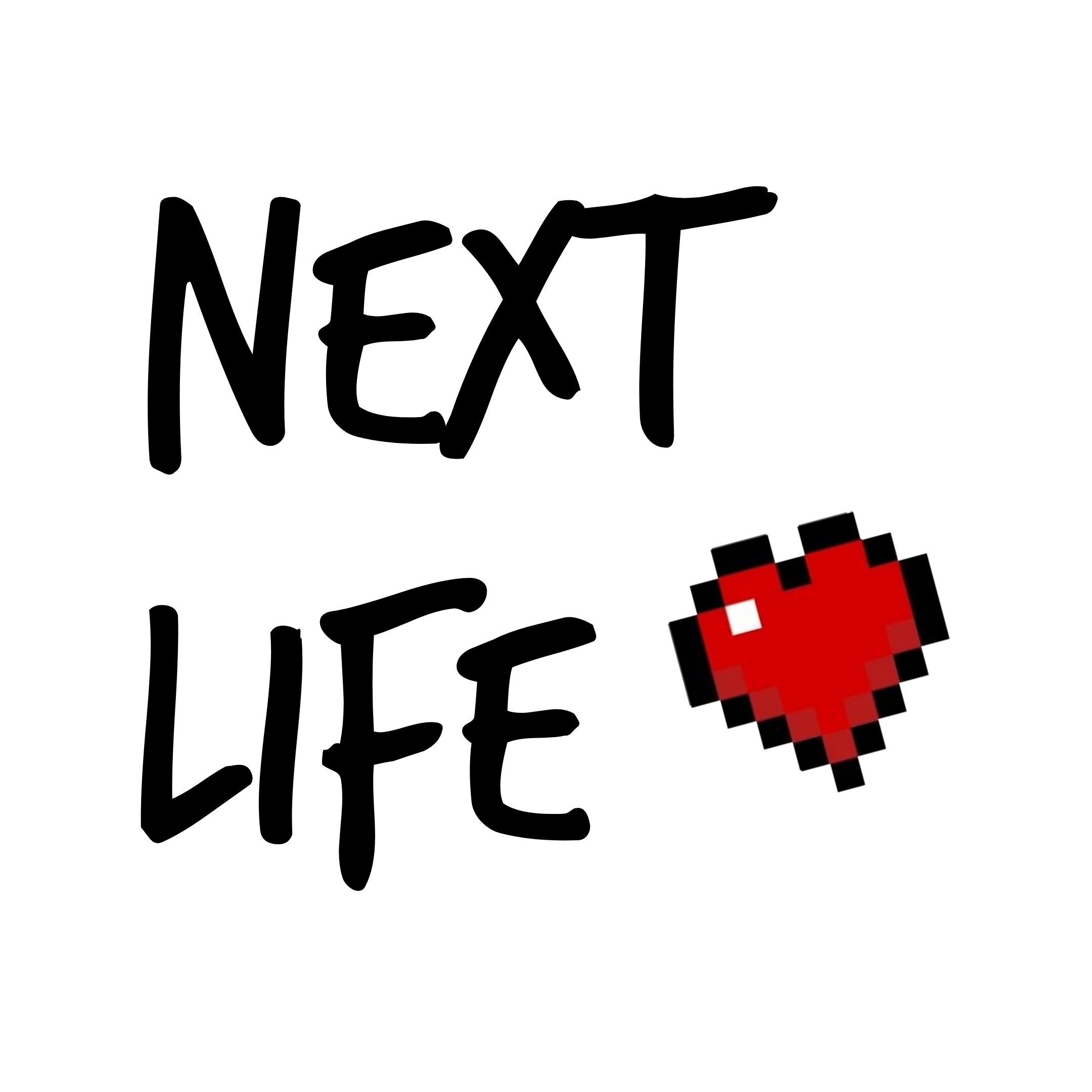 Next Life SMP Wiki | Fandom