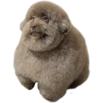 Mohu | Nextbot Wiki | Fandom