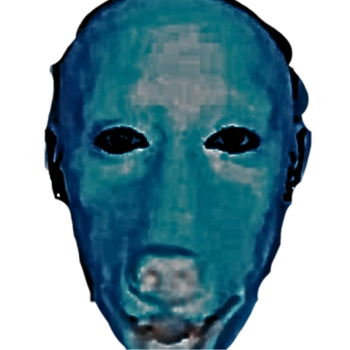 Dolphin Dog | Nextbot Wiki | Fandom