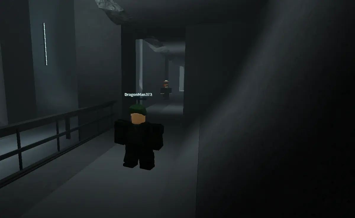 Nn npc tunnel | Nextbot Wiki | Fandom