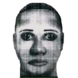 Selene Delgado | Nextbot Wiki | Fandom