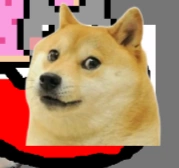 Doge | Nextbotia Carsonia Wiki | Fandom