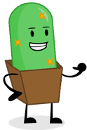 Cactus | Next Top Thingy Wiki | Fandom