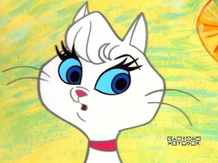 November 15, 1998 | Nexus' Cartoon Network / Adult Swim Fanmade ...