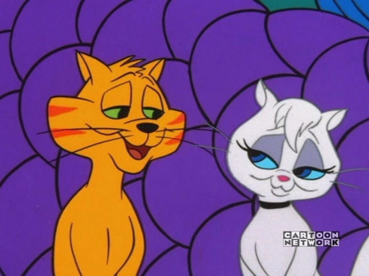 July 16, 1995 | Nexus' Cartoon Network / Adult Swim Fanmade Schedules ...