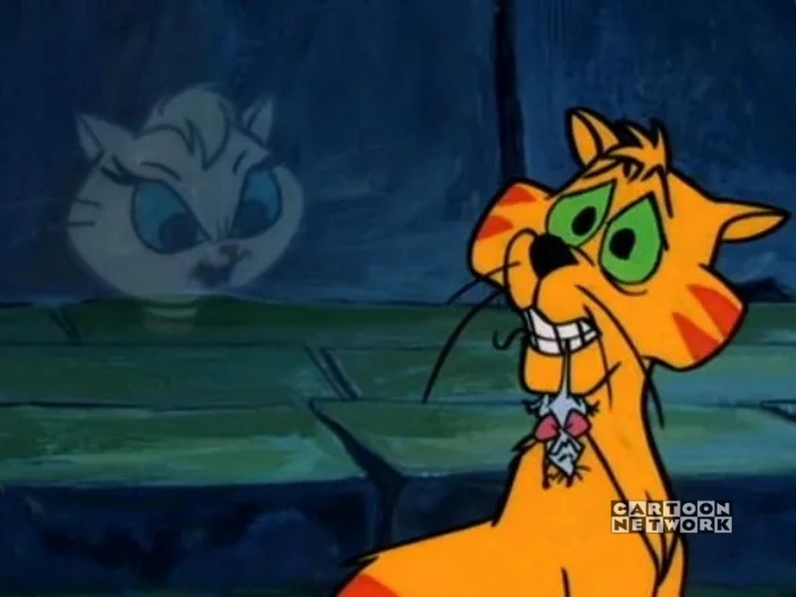 August 22, 2000 | Nexus' Cartoon Network / Adult Swim Fanmade Schedules ...