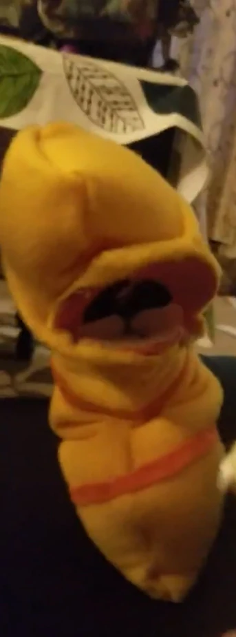 Wormy | Ngt fandom Wiki | Fandom