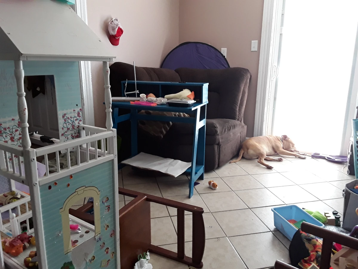 The house | Ngt fandom Wiki | Fandom