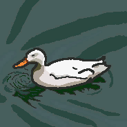 A Duck | NGU Idle Wiki | Fandom